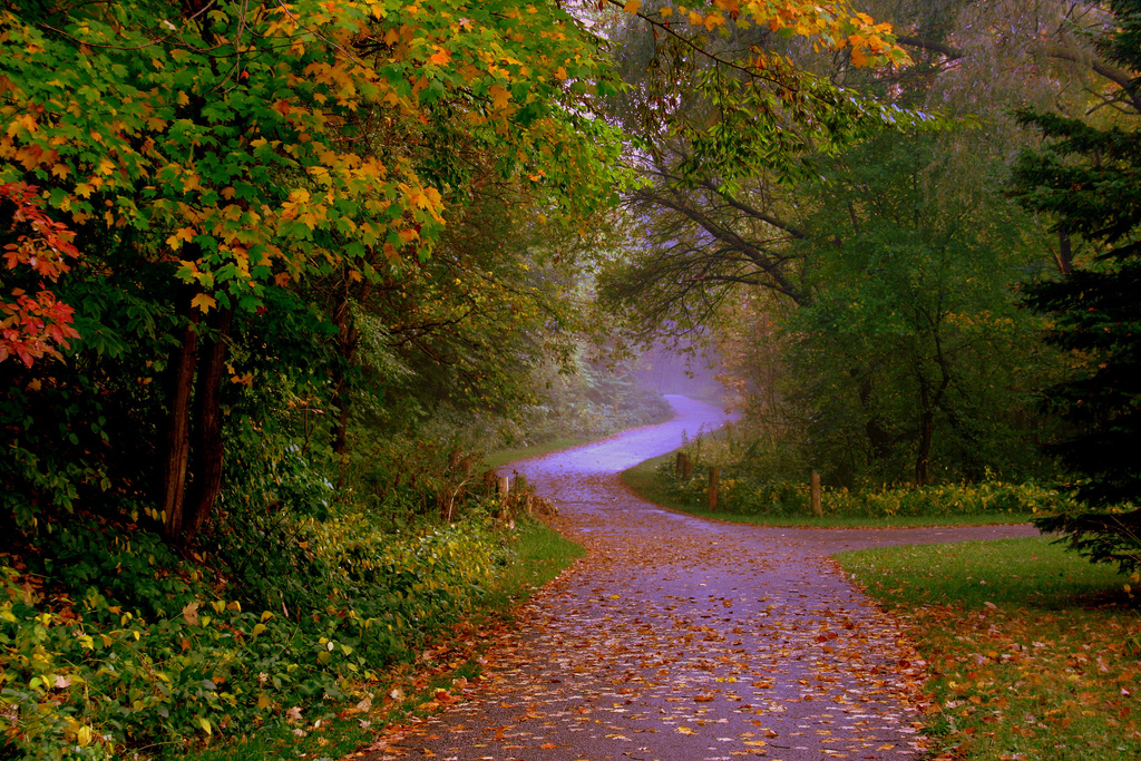 Jesienne krajobrazy - Peter Lu - Galerie zdjęć i fotografii